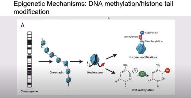 Episign – Providing Answers from Beyond the Genome · The first ...